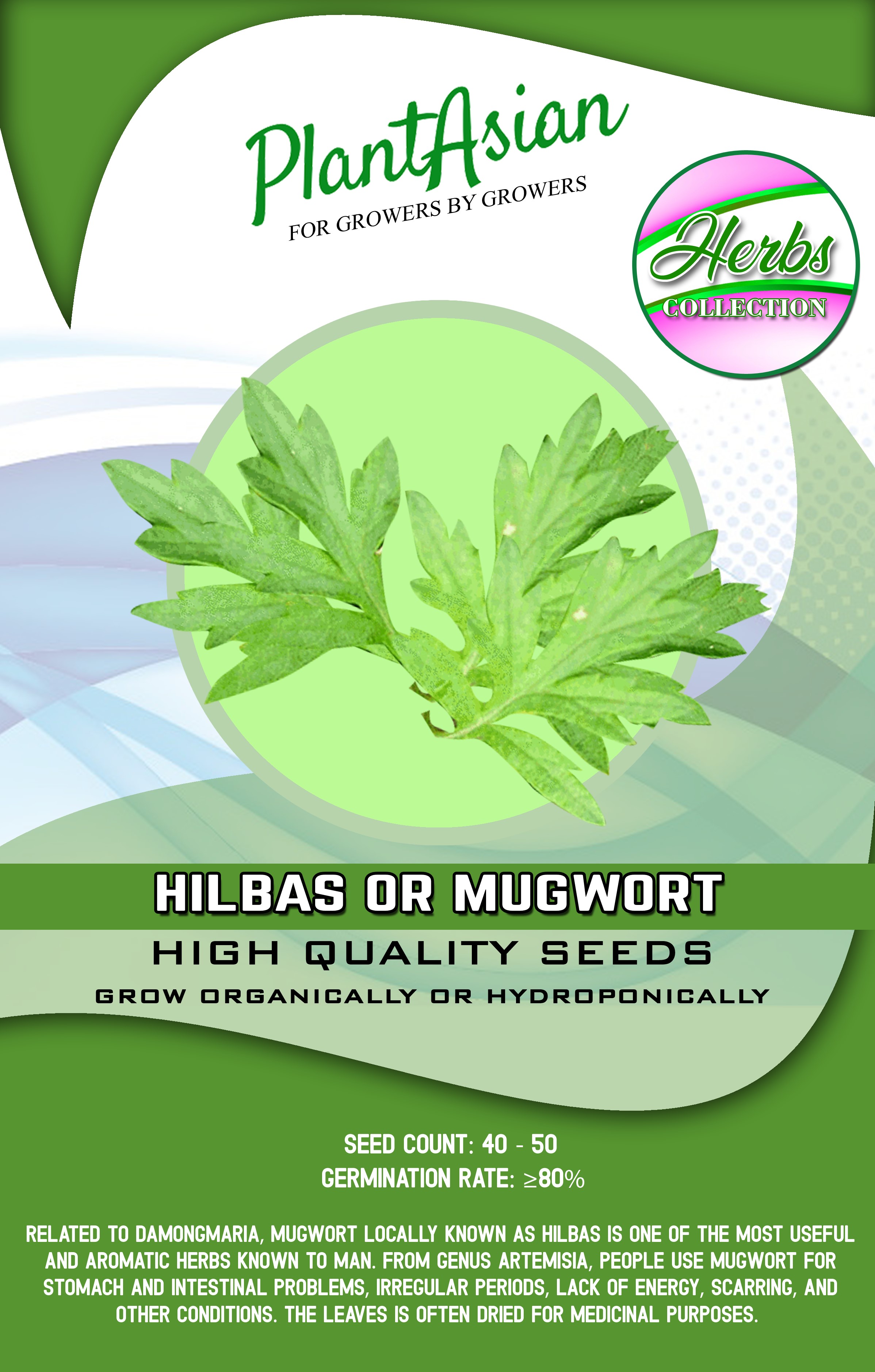 HILBAS OR MUGWORT SEEDS | Lazada PH