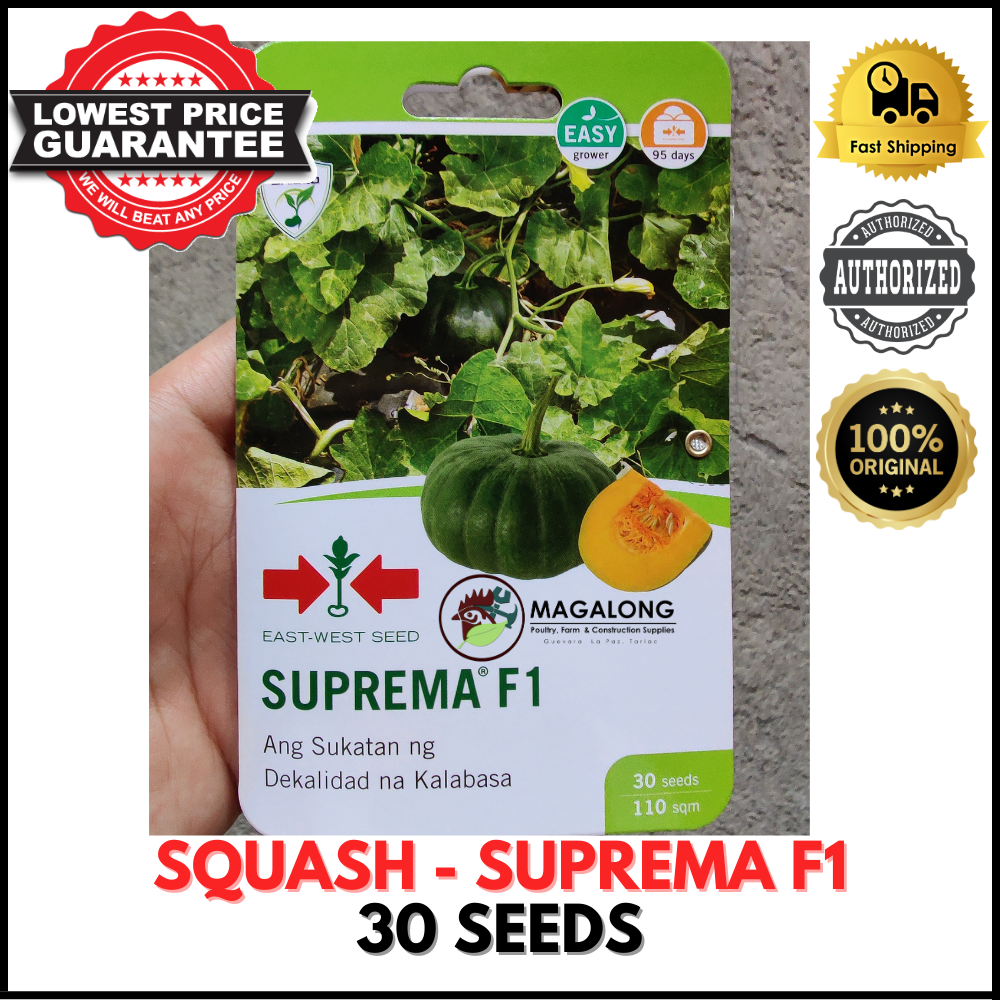 EAST-WEST SEEDS - KALABASA SEEDS - SUPREMA F1 HYBRID 30 Seeds | Lazada PH