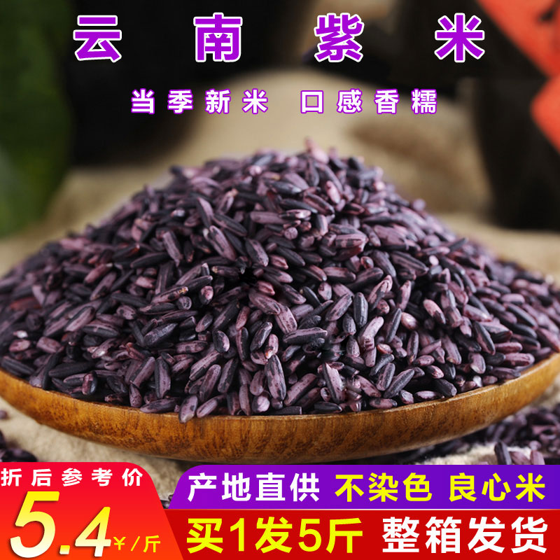 5JinBox Purple Rice Rice New Rice Yunnan Specialty Old Variety Purple ...
