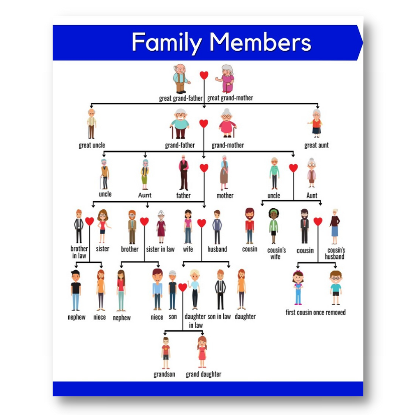Laminated Family Members Charts, Men and Women in the Family Charts for ...