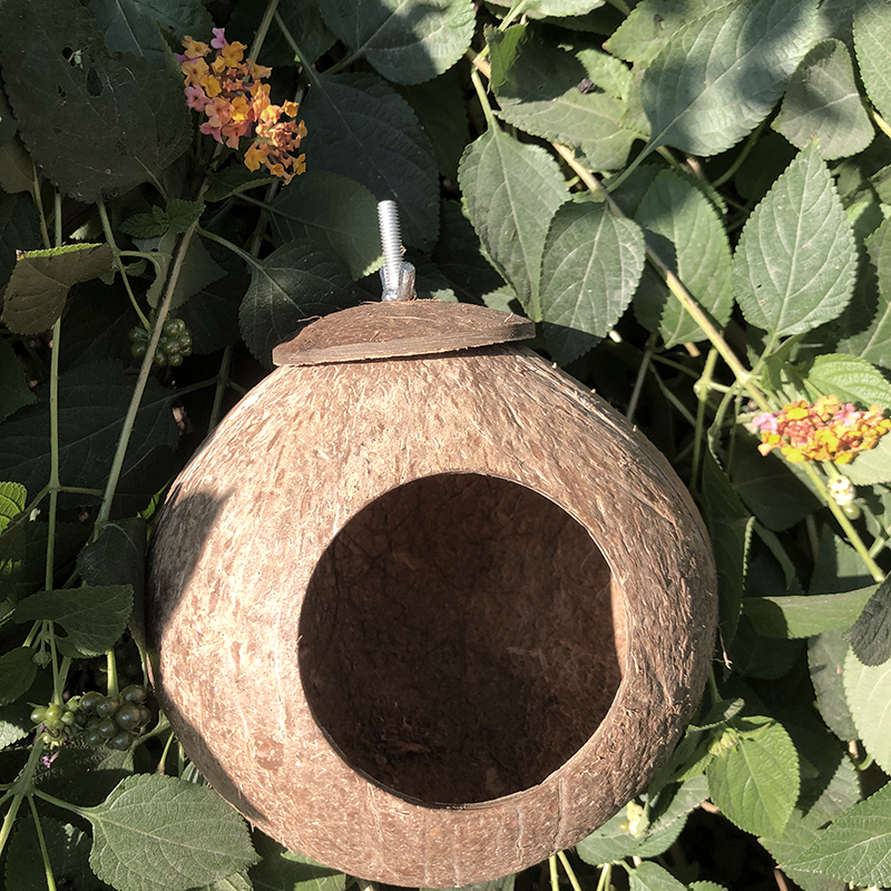 Coconut Shell Bird House Bird Nest Small Animals House for Parrot ...