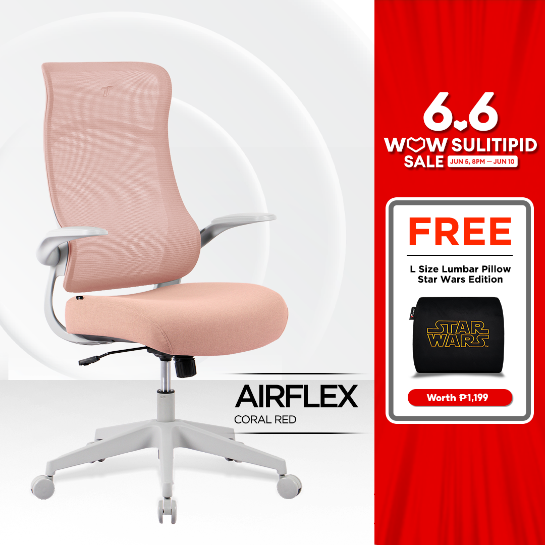 TT Airflex Ergochair Home Office Mesh Chair | Executive Ergonomics Chair | Lazada PH
