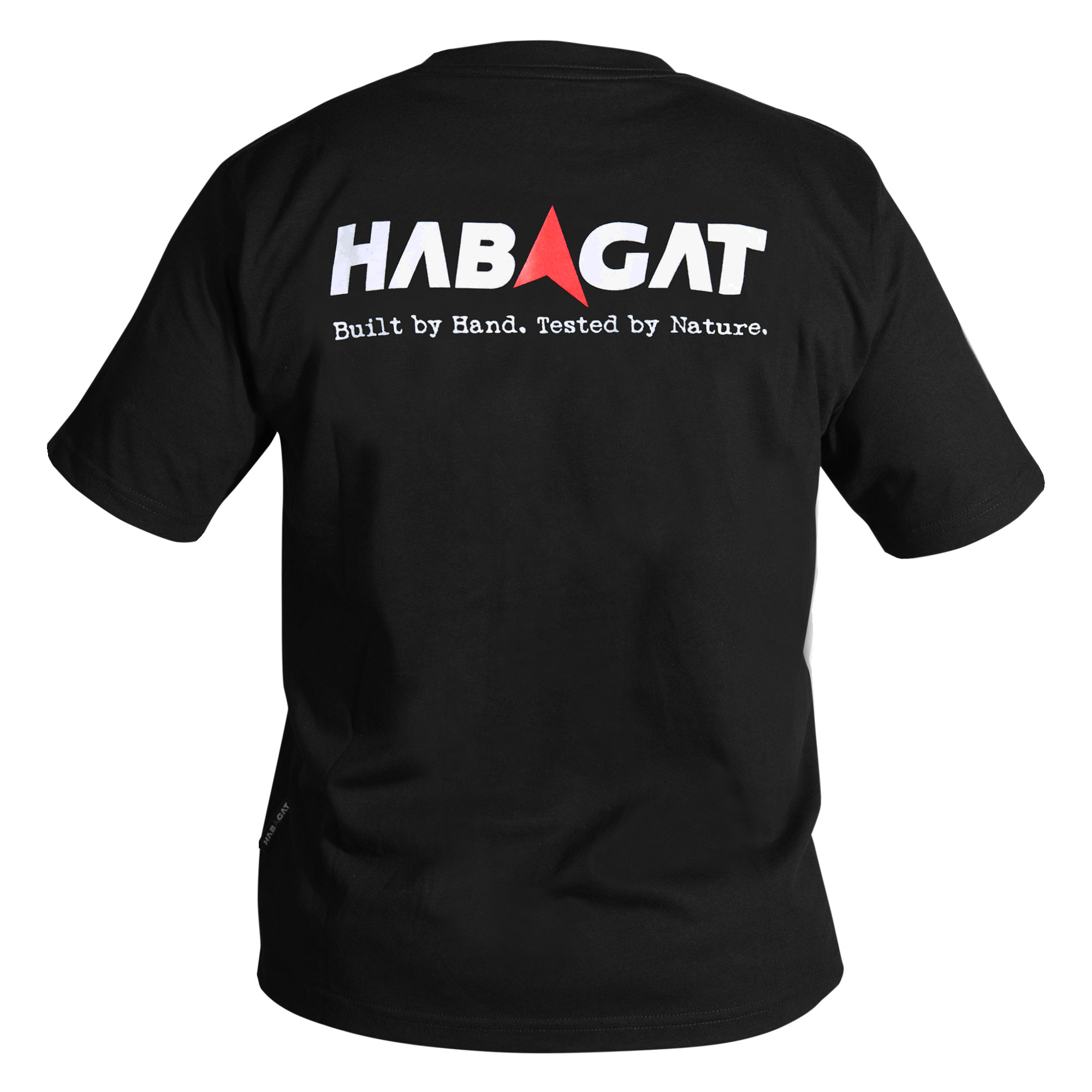 Habagat Logo