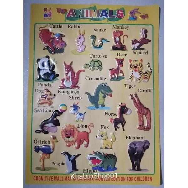 Wall Charts educational Plastic Embossed | Lazada PH
