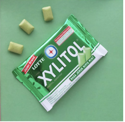 Xylitol Handy Bottle Fresh Mint Chewing Gum 58g | Lazada PH