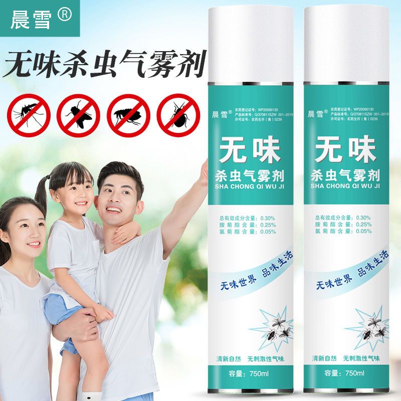 Odorless Insecticide Aerosol Household 750ml Insecticide Exterminate ...