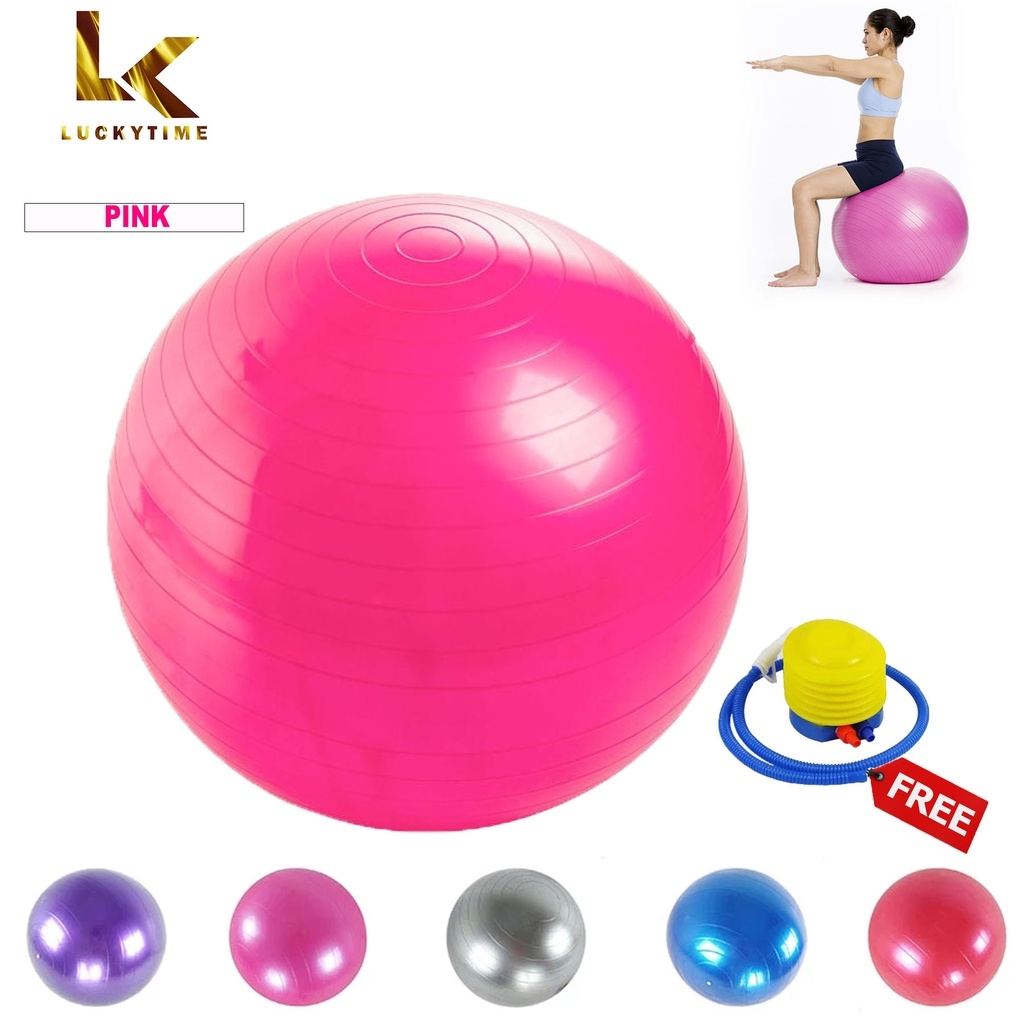 Eiderfinch Gym Ball With Air Pump | Lazada PH