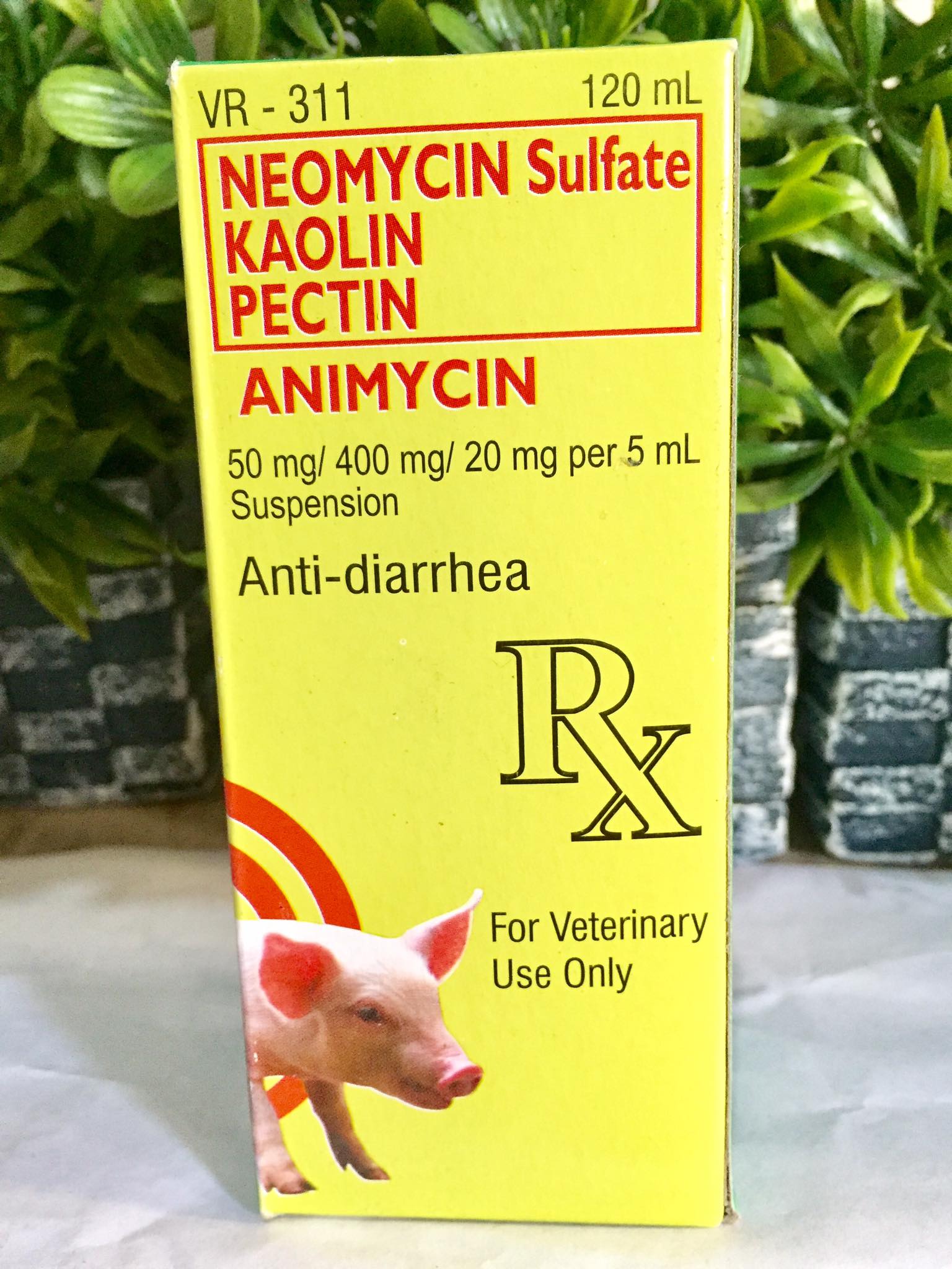 Animycin 120mL | Lazada PH