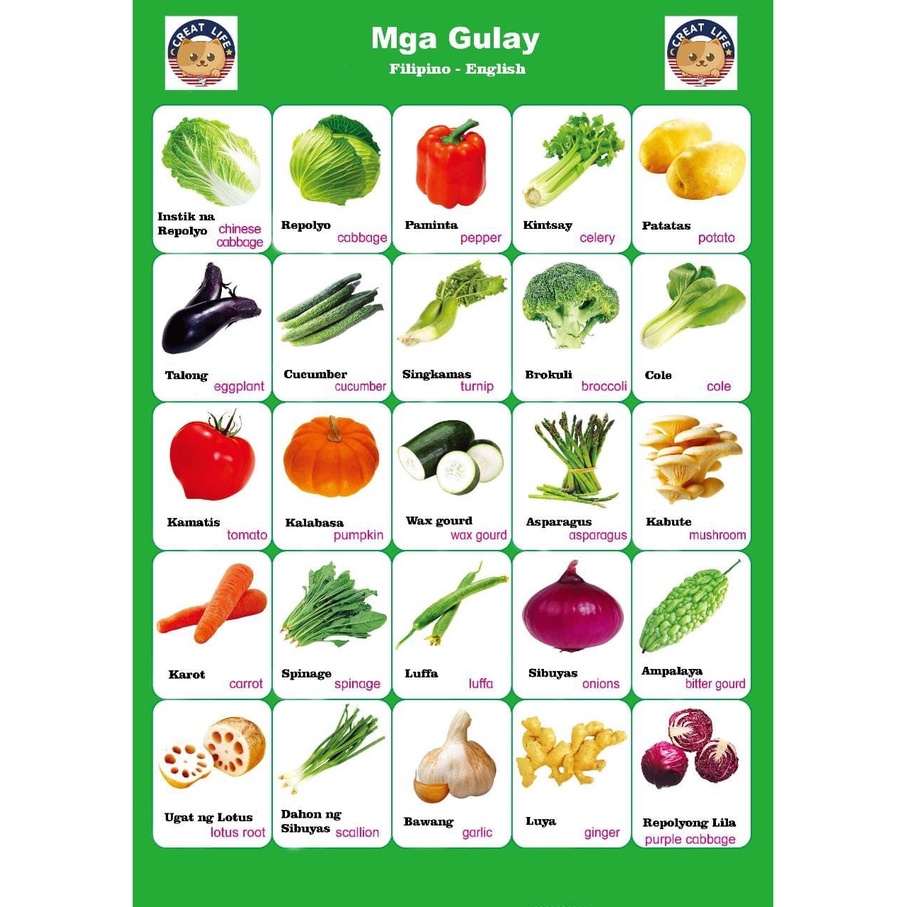 Baby wall chart 58*42cm Filipino - English Educational Wall Charts for ...