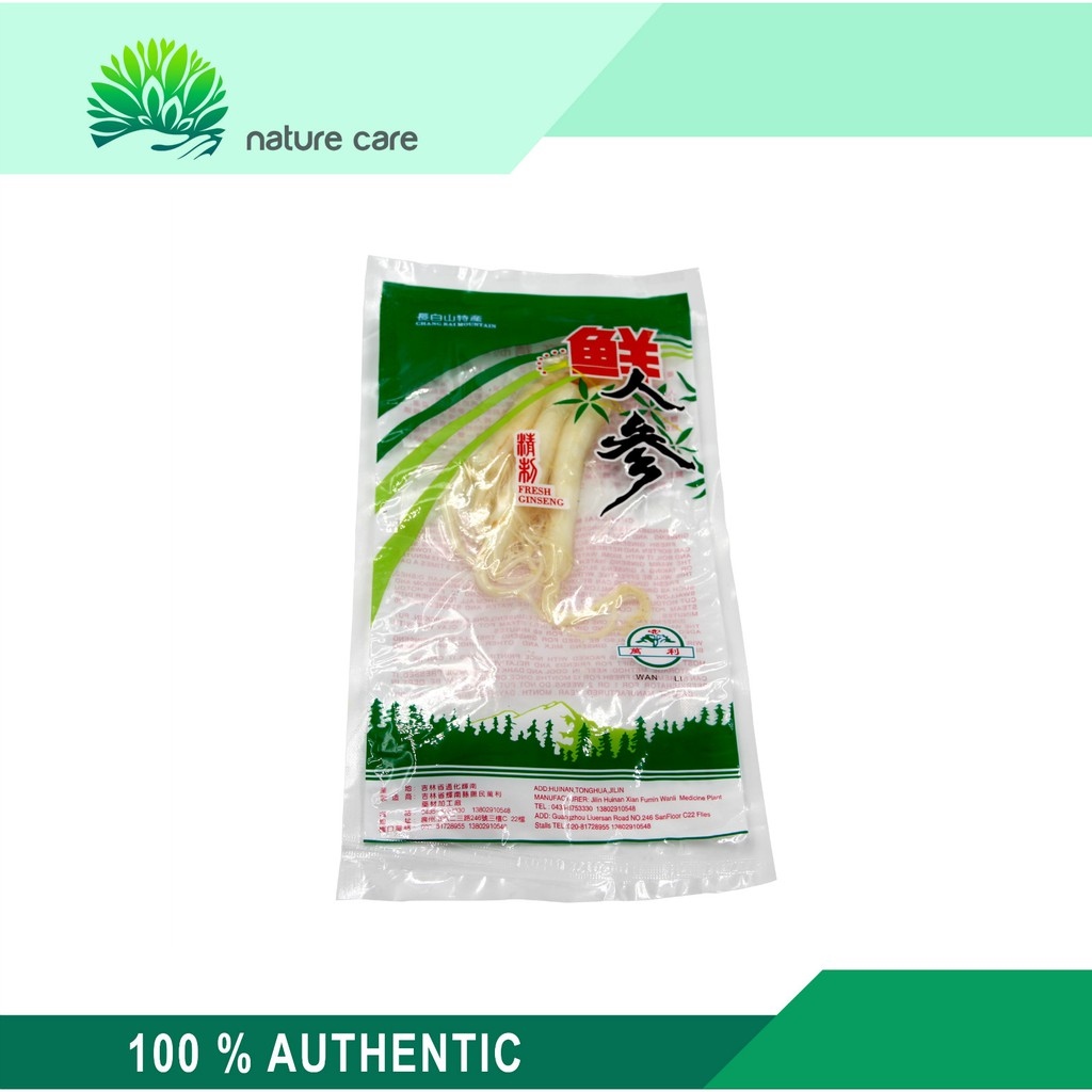Fresh Ginseng Root Chang Bai Mountain | Lazada PH