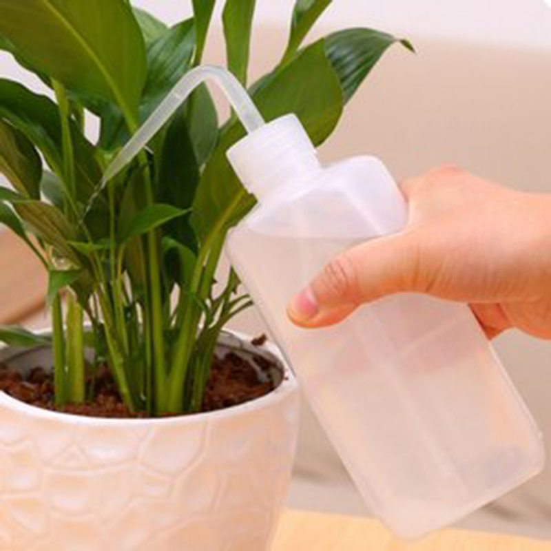 HONG ????Hot Sale????250mL Water Beak Pouring Kettle Tool Succulents ...