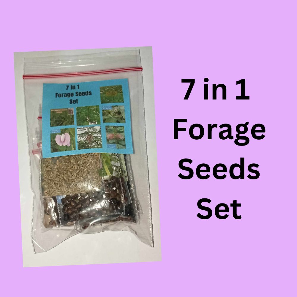 7 in 1 Forage Seeds Set/Mombasa500 Red Calliandra100 Centrosema50 ...
