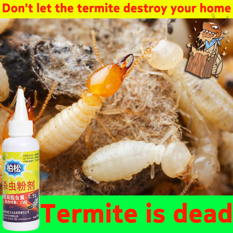 termite killer pest control 75g Maaaring mabisang pumatay ng anay at ...