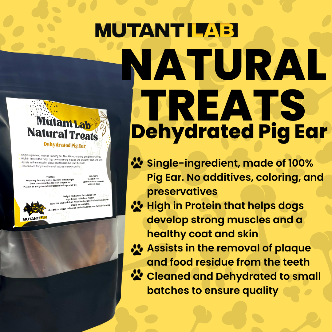 Mutant Lab Dehydrated Pig Ear for Dog Treat and Chew Toy | Lazada PH