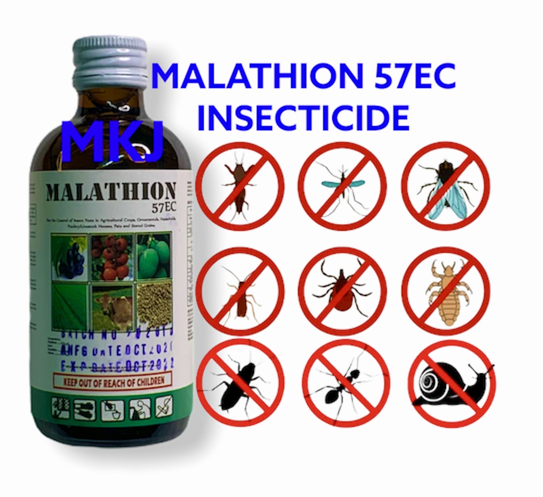 Malathion INSECTICIDE 250ml. | Lazada PH