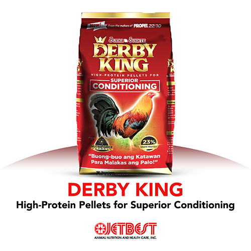 Derby King High Protein Pellets for Superior Conditioning 1kg | Lazada PH
