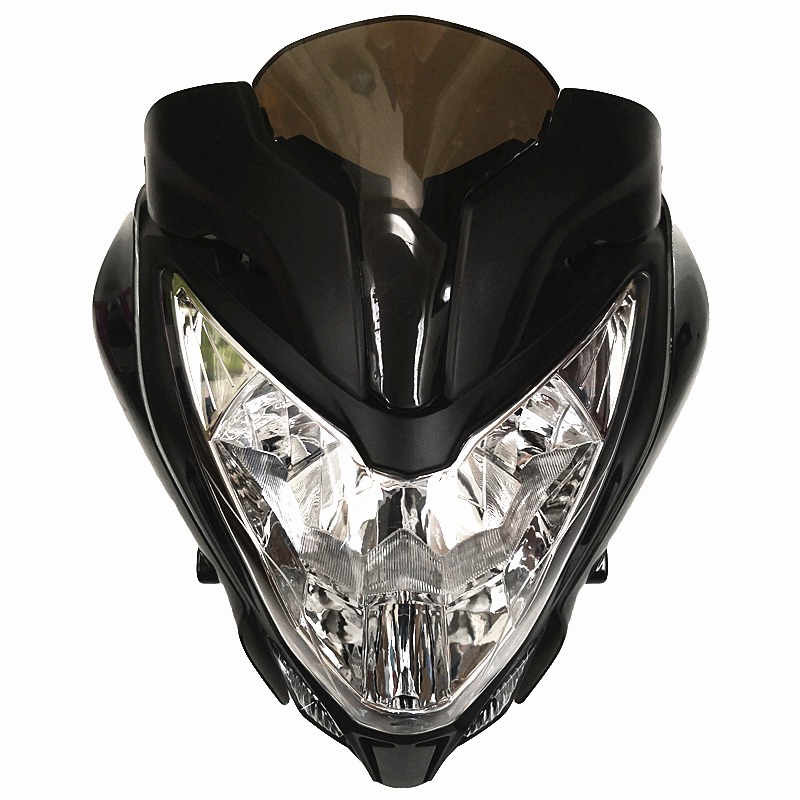 Italy Haypo Rouser NS 200 HeadLight Assy Complete Rouser 200NS ...