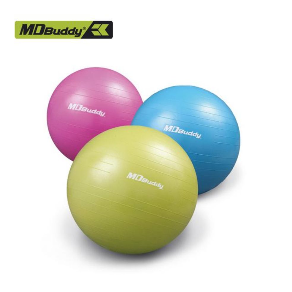 MD Buddy Gym Ball | Lazada PH