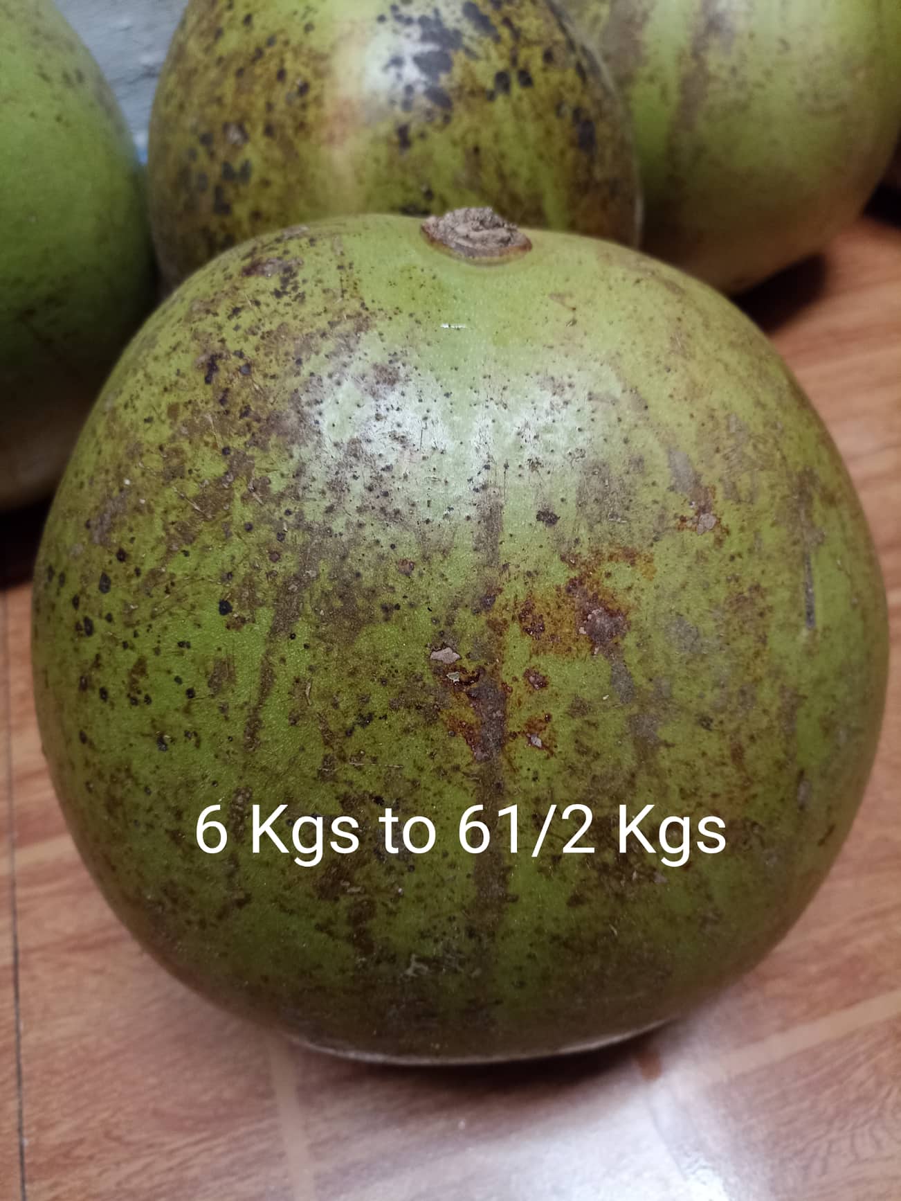 Calabash/Miracle Fruit | Lazada PH