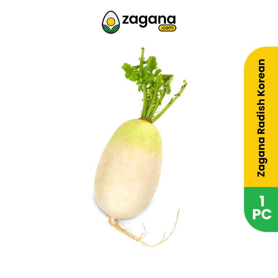 Zagana Farm Fresh Vegetables Radish Korean 1PC | Lazada PH