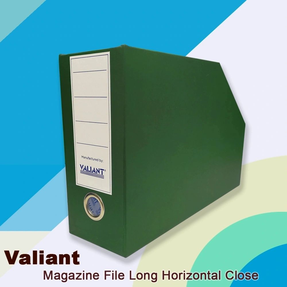 Magazine File Long Horizontal Close File Organizer | Lazada PH