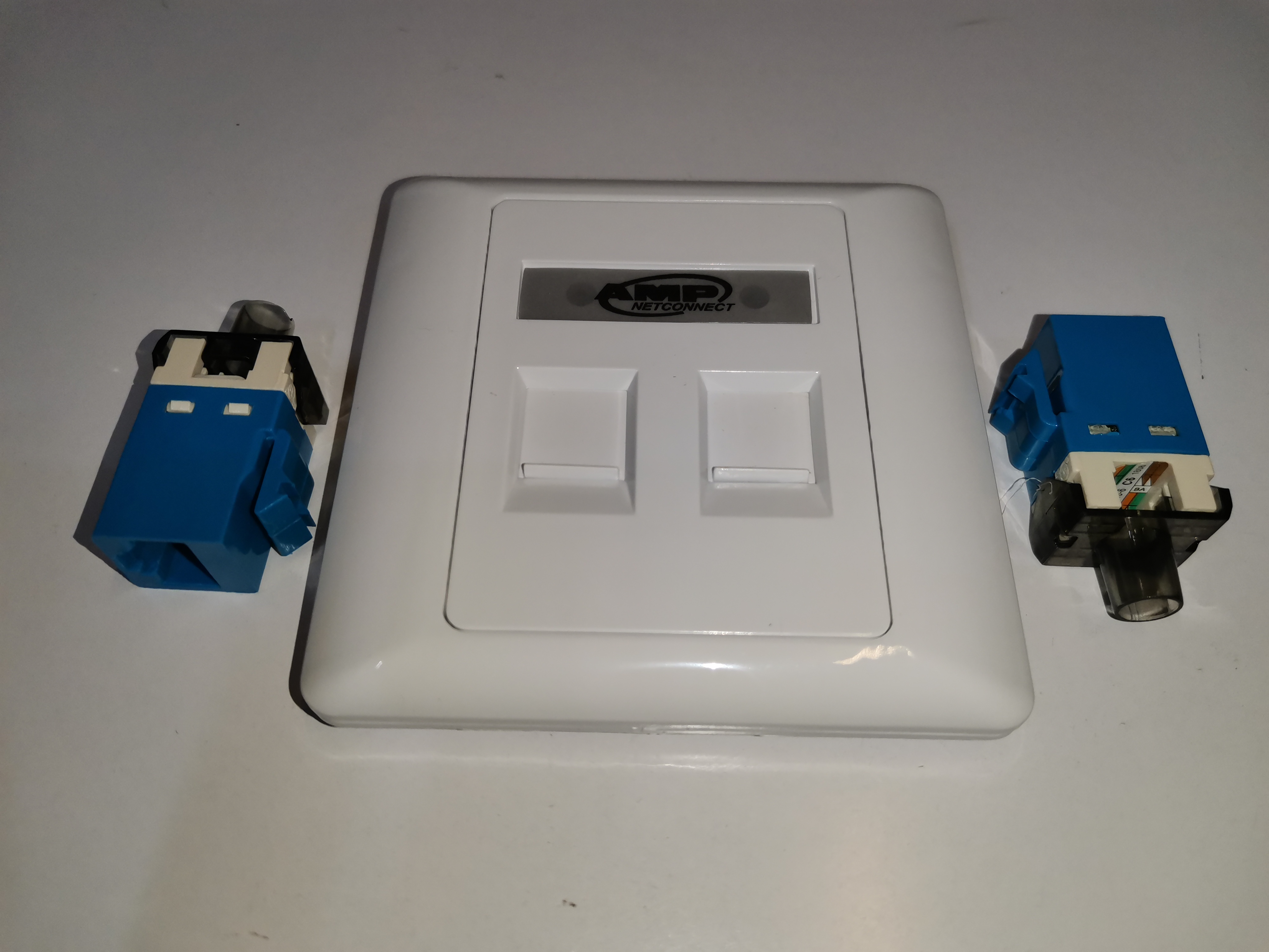 LAN Outlet 2 Gang CAT6 with Square Plate ( AMP) | Lazada PH