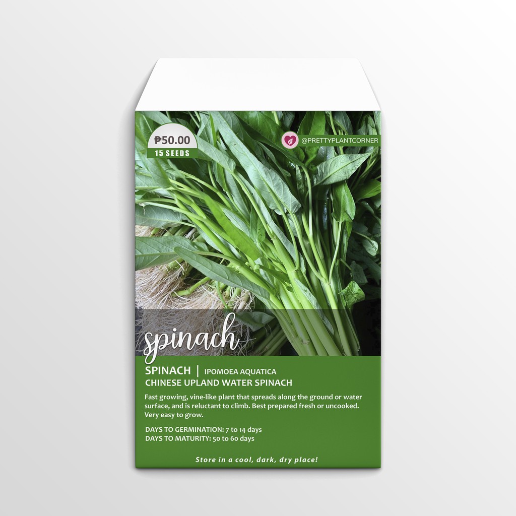 Chinese Upland Water Spinach Seeds | Lazada PH