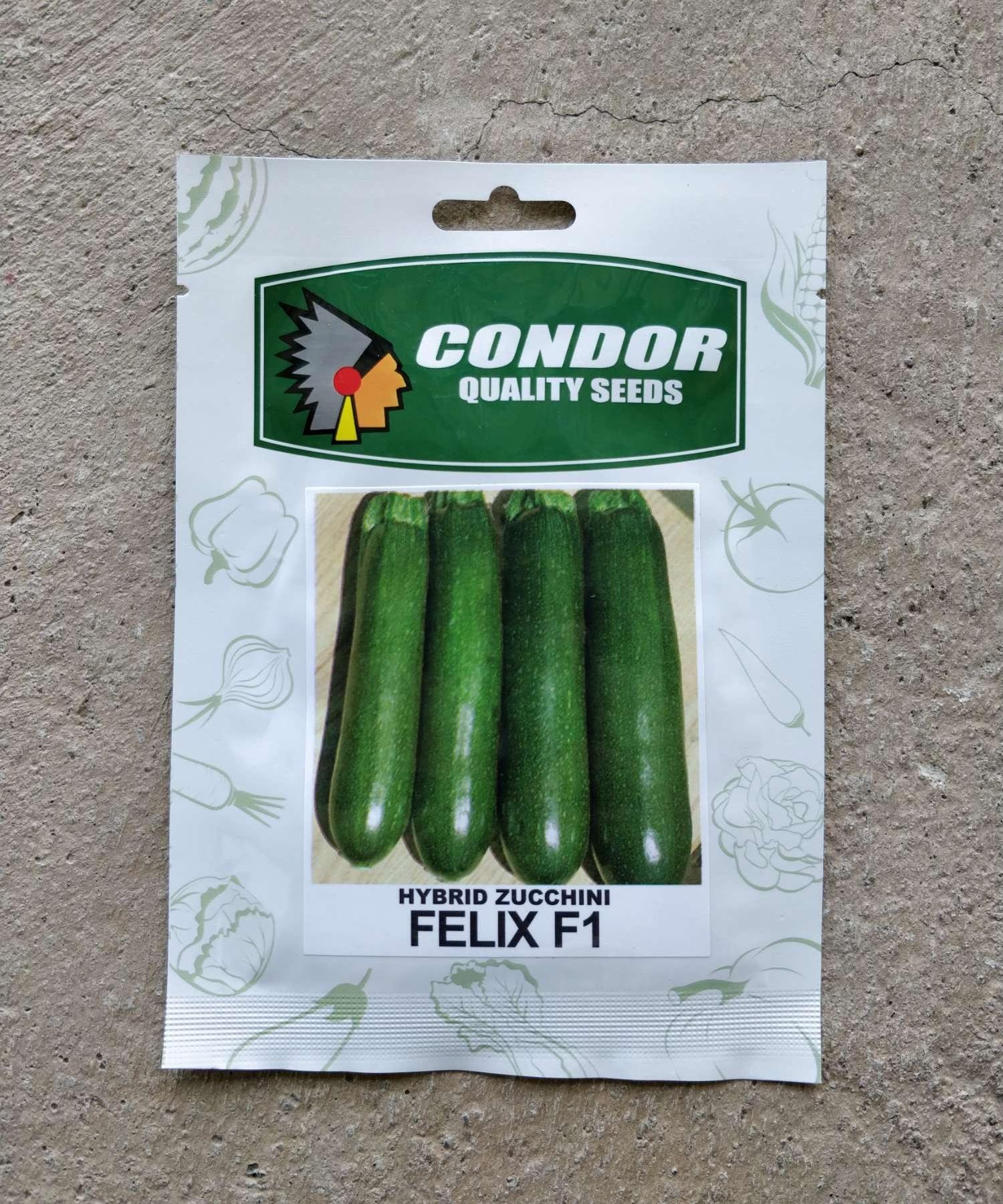 ZUCCHINI FELIX F1 SEEDS - HYBRID | Lazada PH