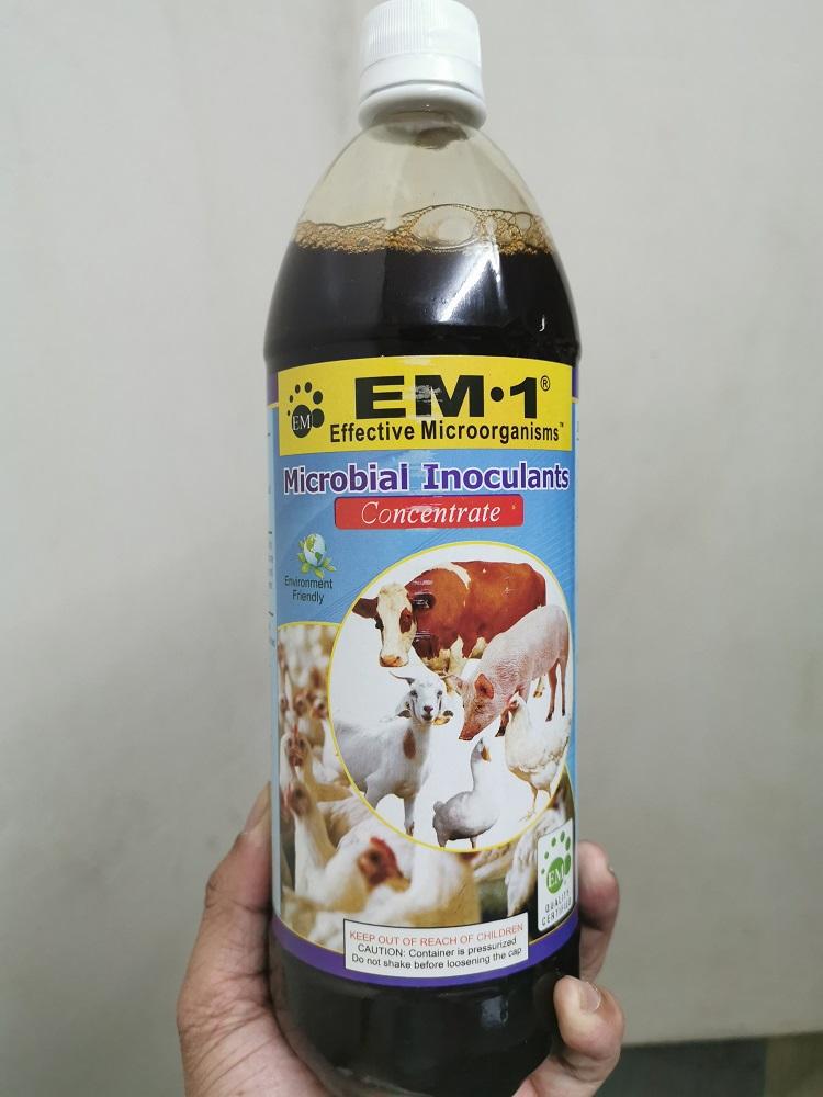 EM1 MICROBIAL CONCENTRATE EM 1 effective microorganism for organic ...