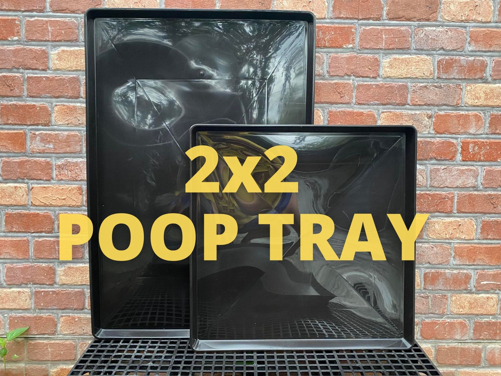 Poop Tray 2x2 ft, Poop try for pets, dog, rabbit, dog cage, etc ...