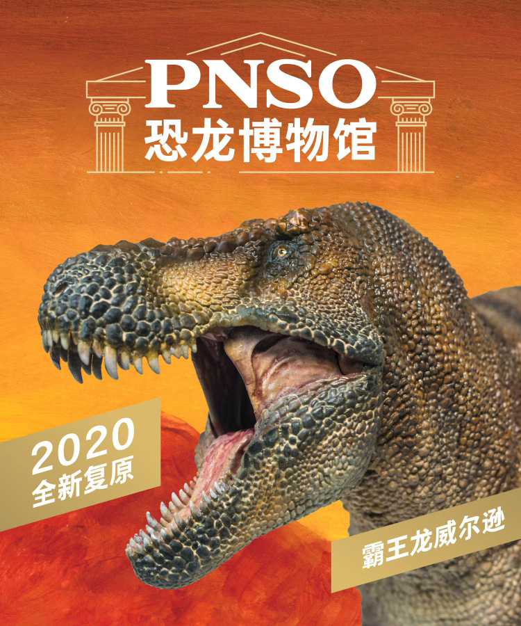 PNSO dinosaur museum tyrannosaurus rex Wilson rising science and art ...