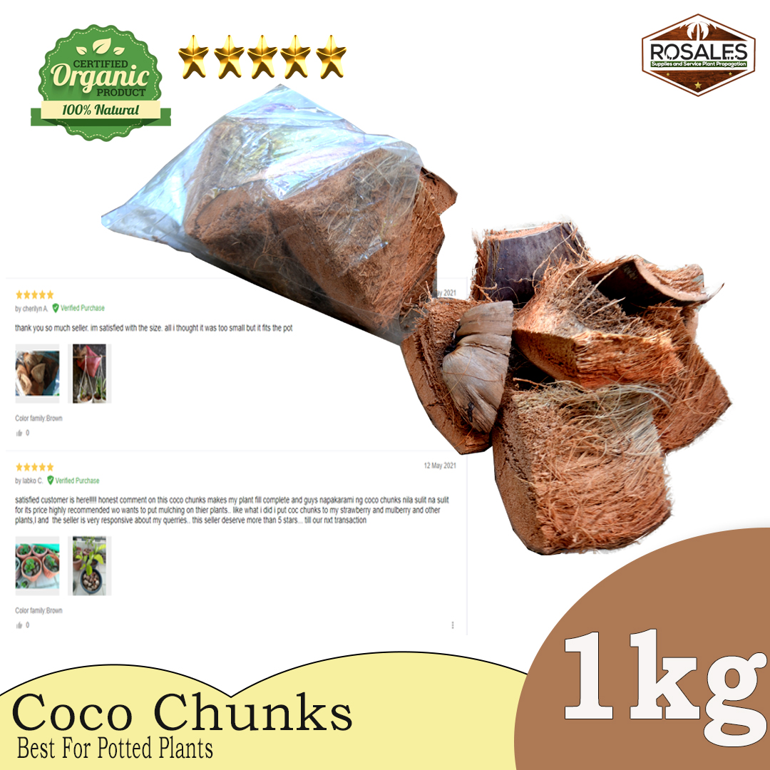 1 Kg Coco Chunks 10 cm x 10 cm Chops for Gardening and Planting Best for Anthurium, Bromeliads ...
