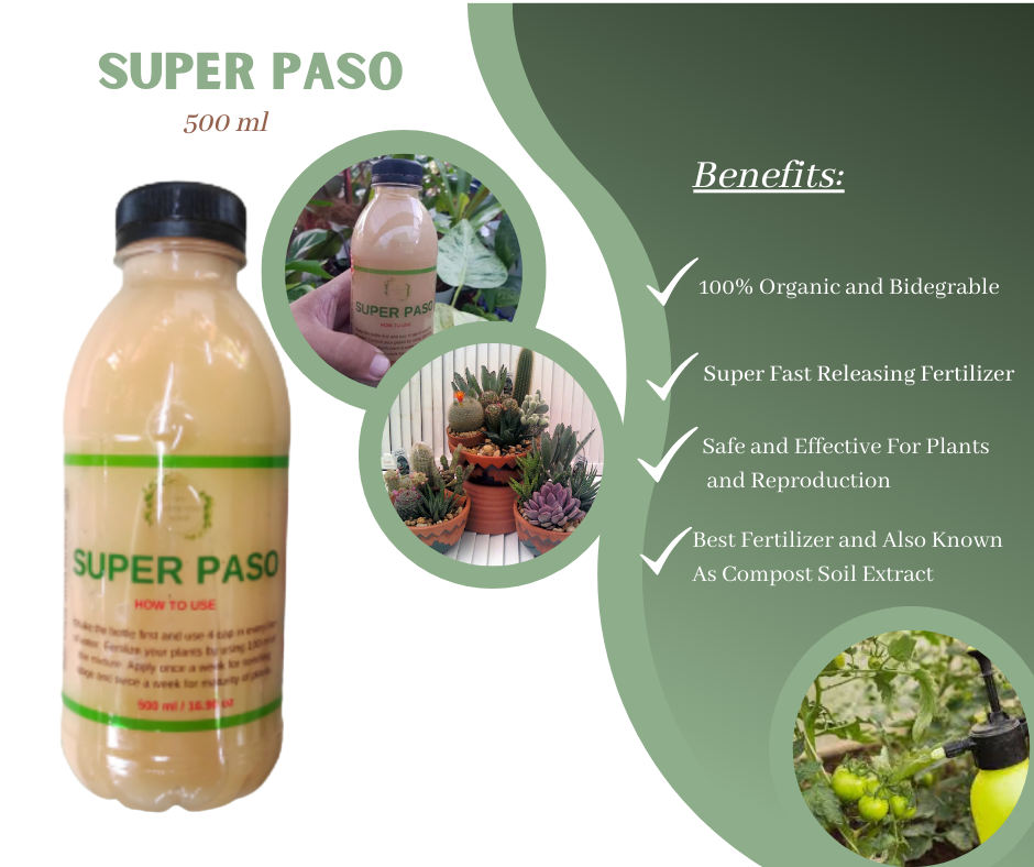SUPER PASO 500ML | Lazada PH