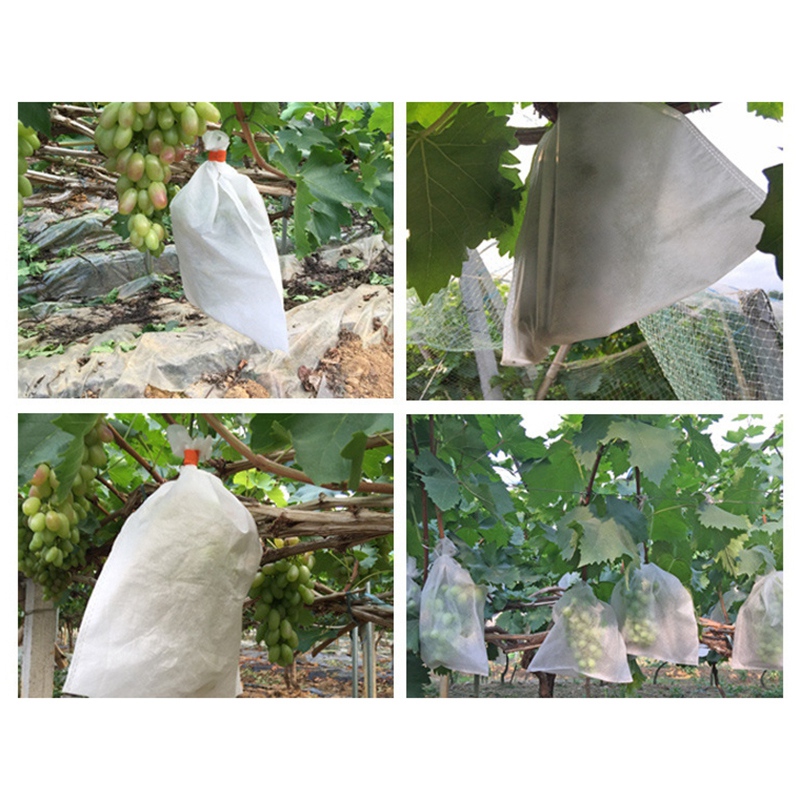 100Pcs Grape Protection Bags Garden Fruit Vegetable Mesh Bag ...
