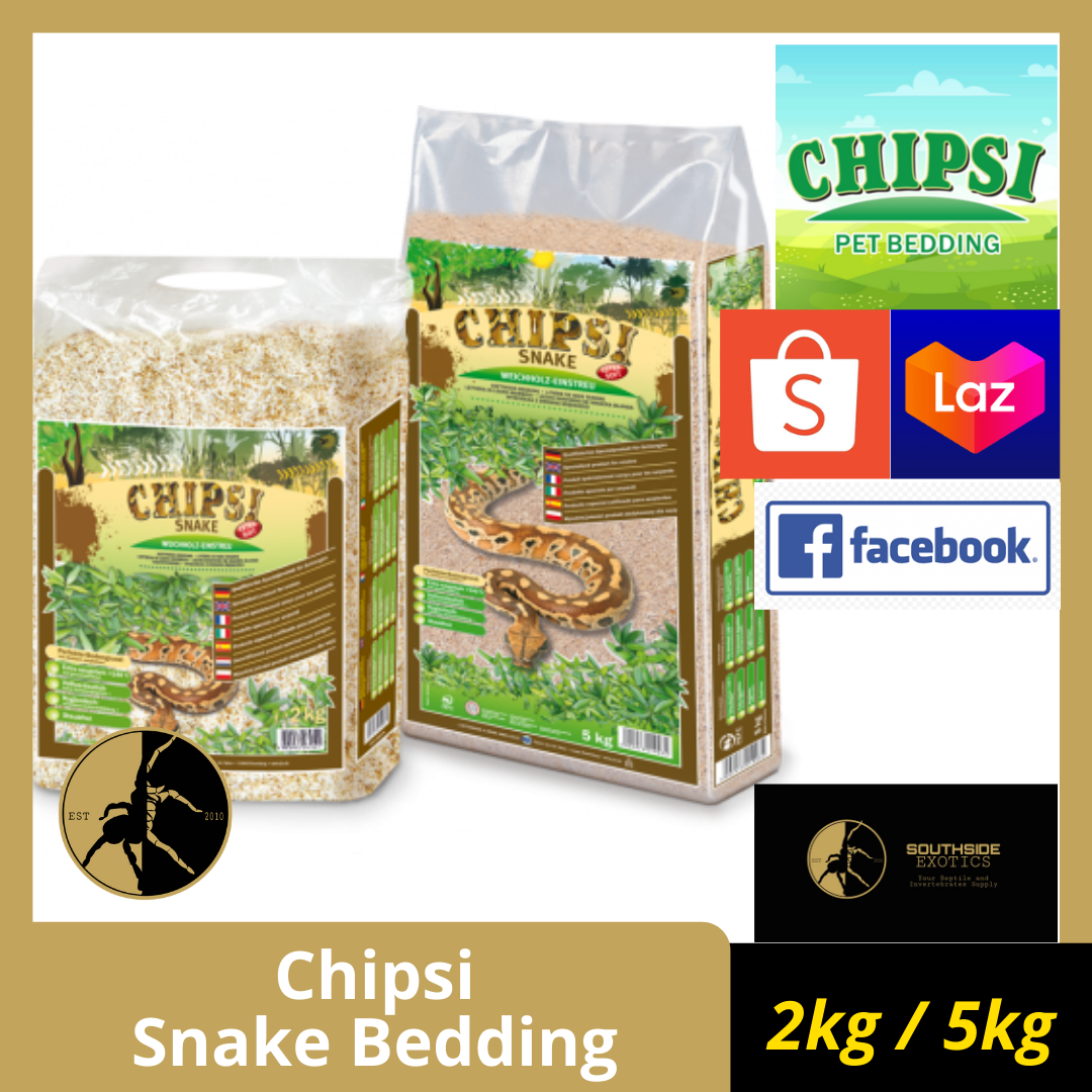 Chipsi Snake Bedding 5kg | Lazada PH