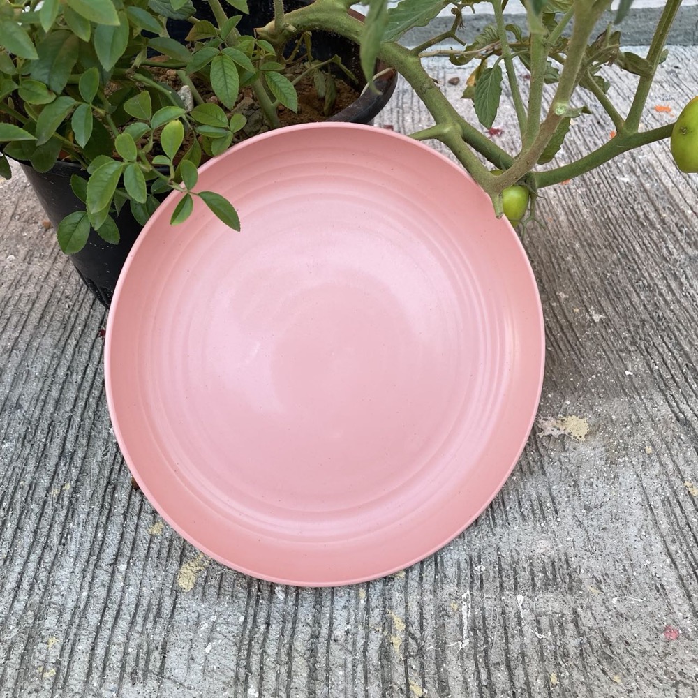 M&A PHC 1/6/12pcs (25cm) Plate/Plato Dinner Plate Wheat Sraw Dinnerware ...