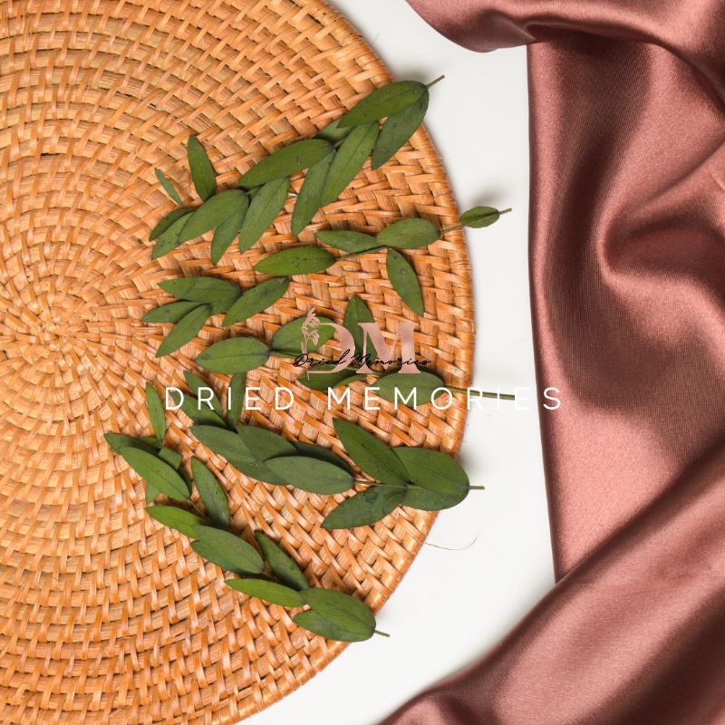 Dried Small Parvi Leaves Real Dried Flowers | Dried Memories PH | Lazada PH