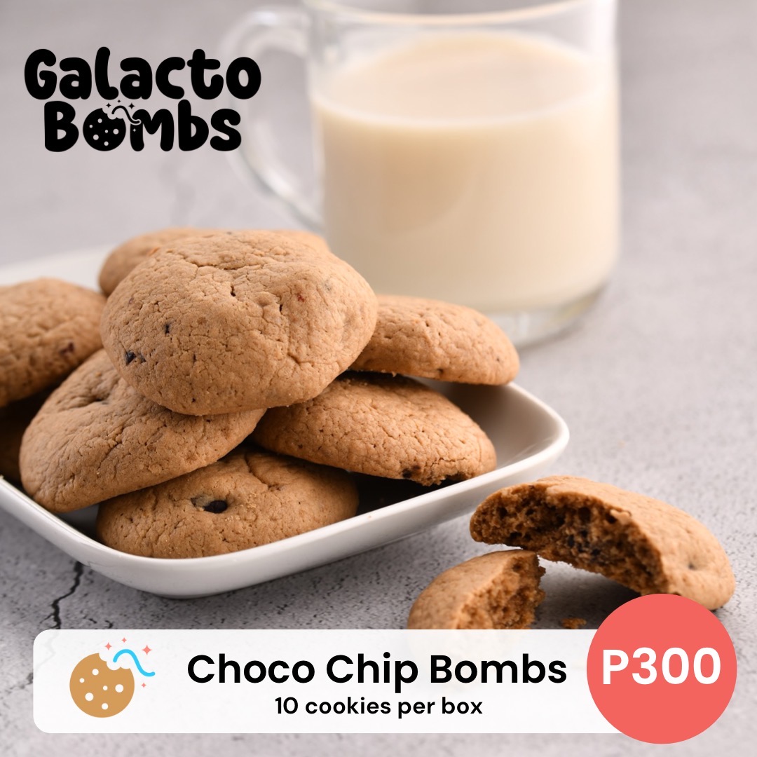 Galacto Bombs Lactation Treats/ Lactation Cookies | Lazada PH