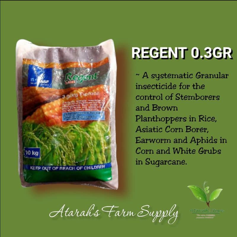 REGENT 0.3GR Insecticide for Rice, Corn and Sugarcane | Lazada PH