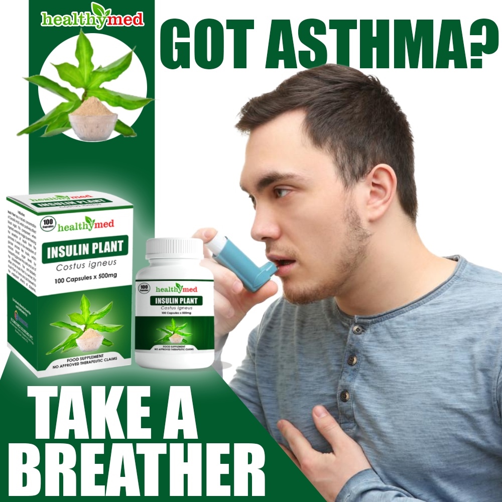 Healthymed Insulin Plant Capsule - Pure Organic Insulin Anti-Diabetic ...