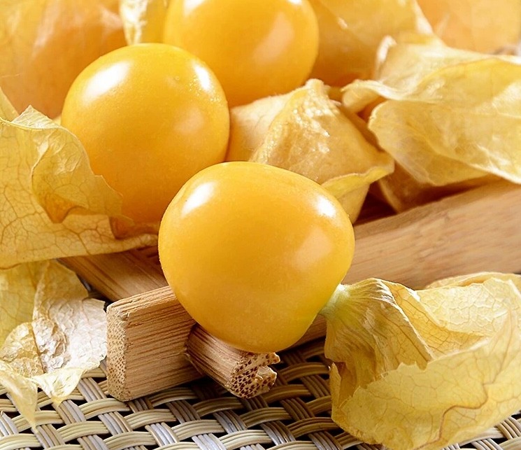 Physalis Peruvian Ground Cherry Gooseberries Tino-Tino Fruit Seeds ( 200 Seeds ) - Basic Farm ...