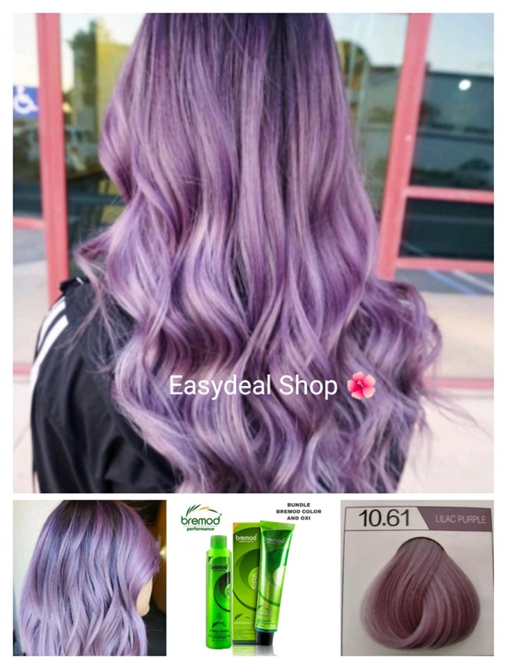 Lilac Purple Bremod Hair Color with Oxidizing 100ml | Lazada PH