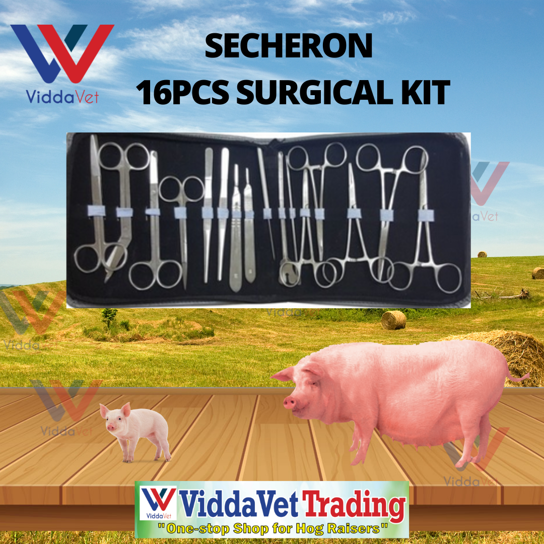 Secheron 16 pcs Minor Kit / Dissecting kit | Lazada PH