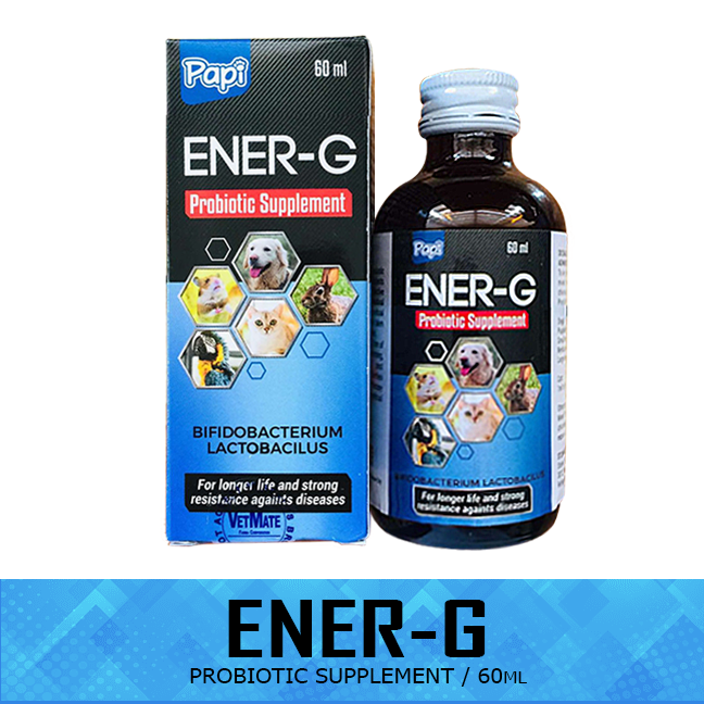 Papi Ener-G Probiotic Supplement For Longer Life and Strong Resistance ...