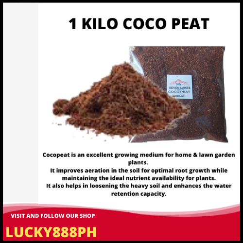 CASH ON DELIVERY ORGANIC AND NATURAL COCO PEAT / DUST / COCO COIR FOR ...