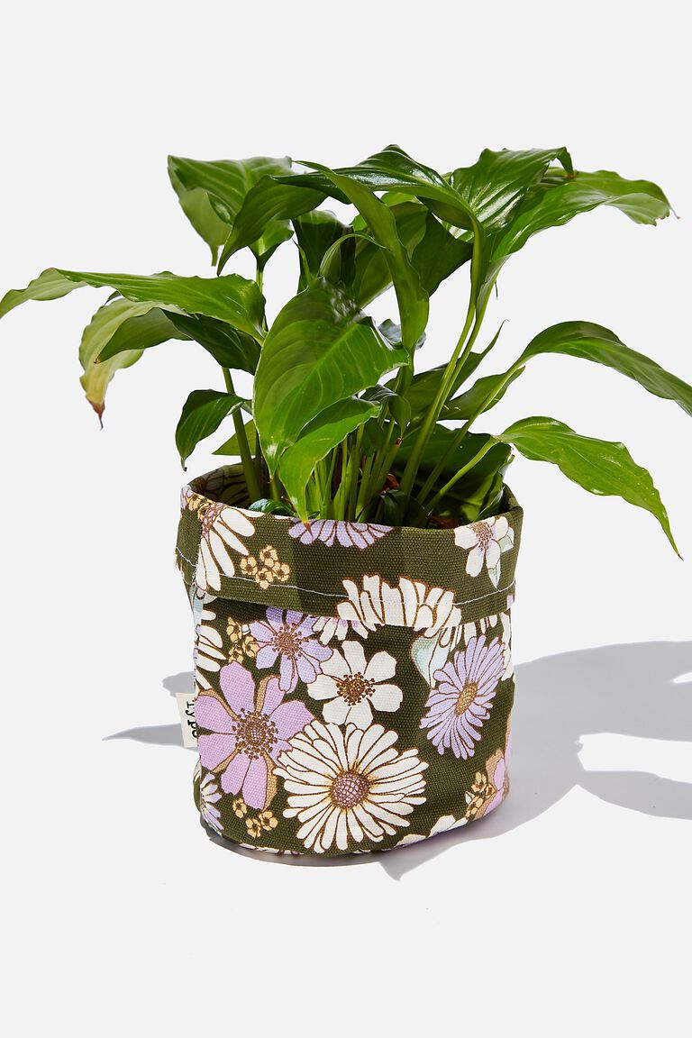TYPO - CANVAS PLANTER - SUNNIE FLORAL | Lazada PH