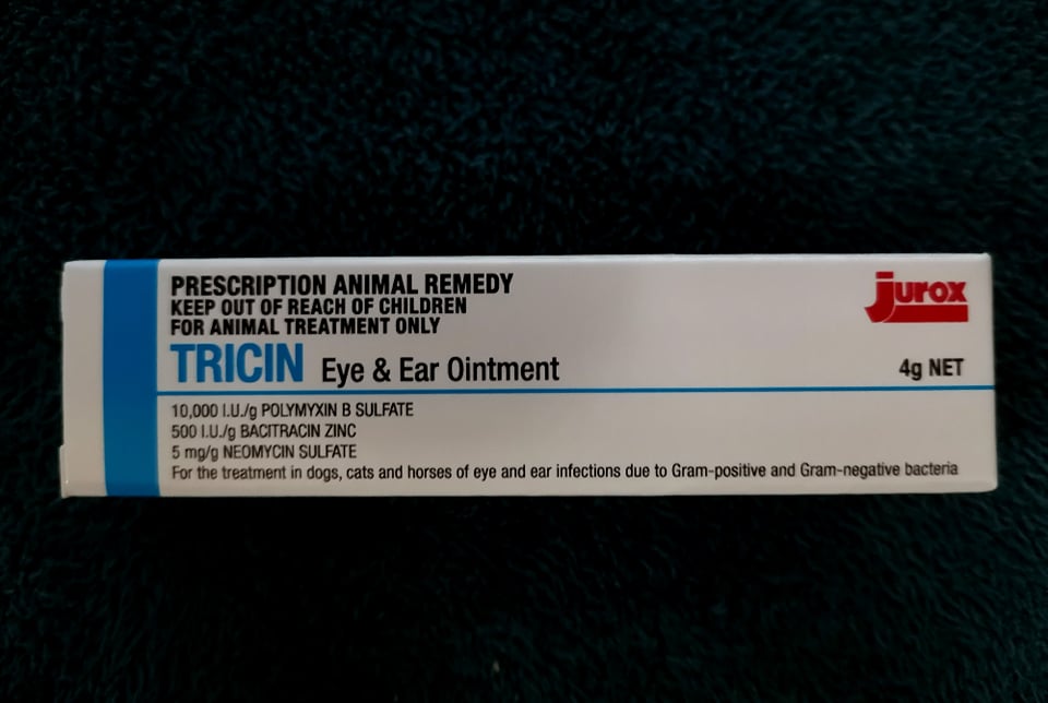TRICIN Eye and Ear Ointment for Animals (Dogs, Cats, Horses) | Lazada PH