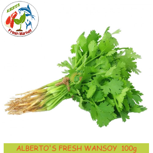 FRESH HERB PLANT WANSOY 100g | Lazada PH