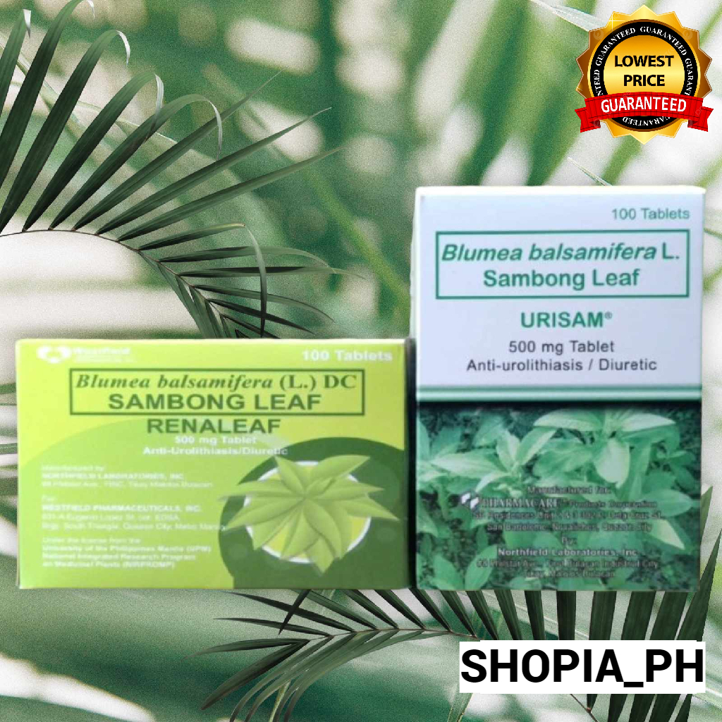 URISAM / RENALEAF / Sambong 500mg 100tablets | Lazada PH