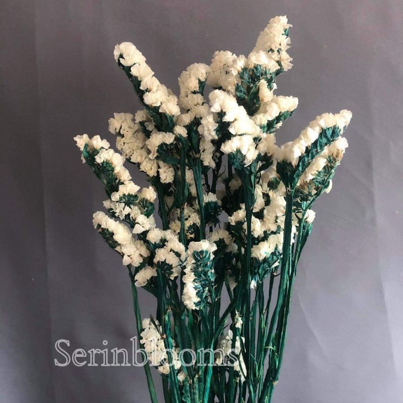 ♜PreservedDried Imported Statice sold per bundle (will last year's)♨ ...
